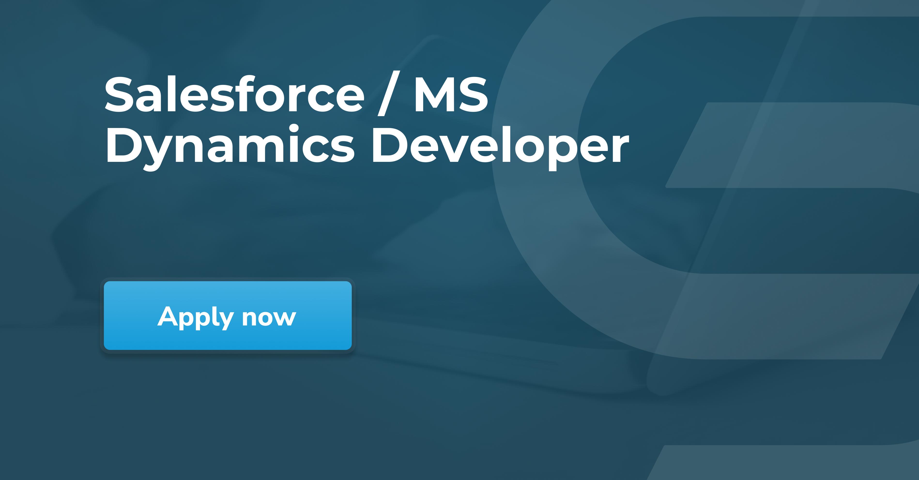 Salesforce Developer - Scancruit