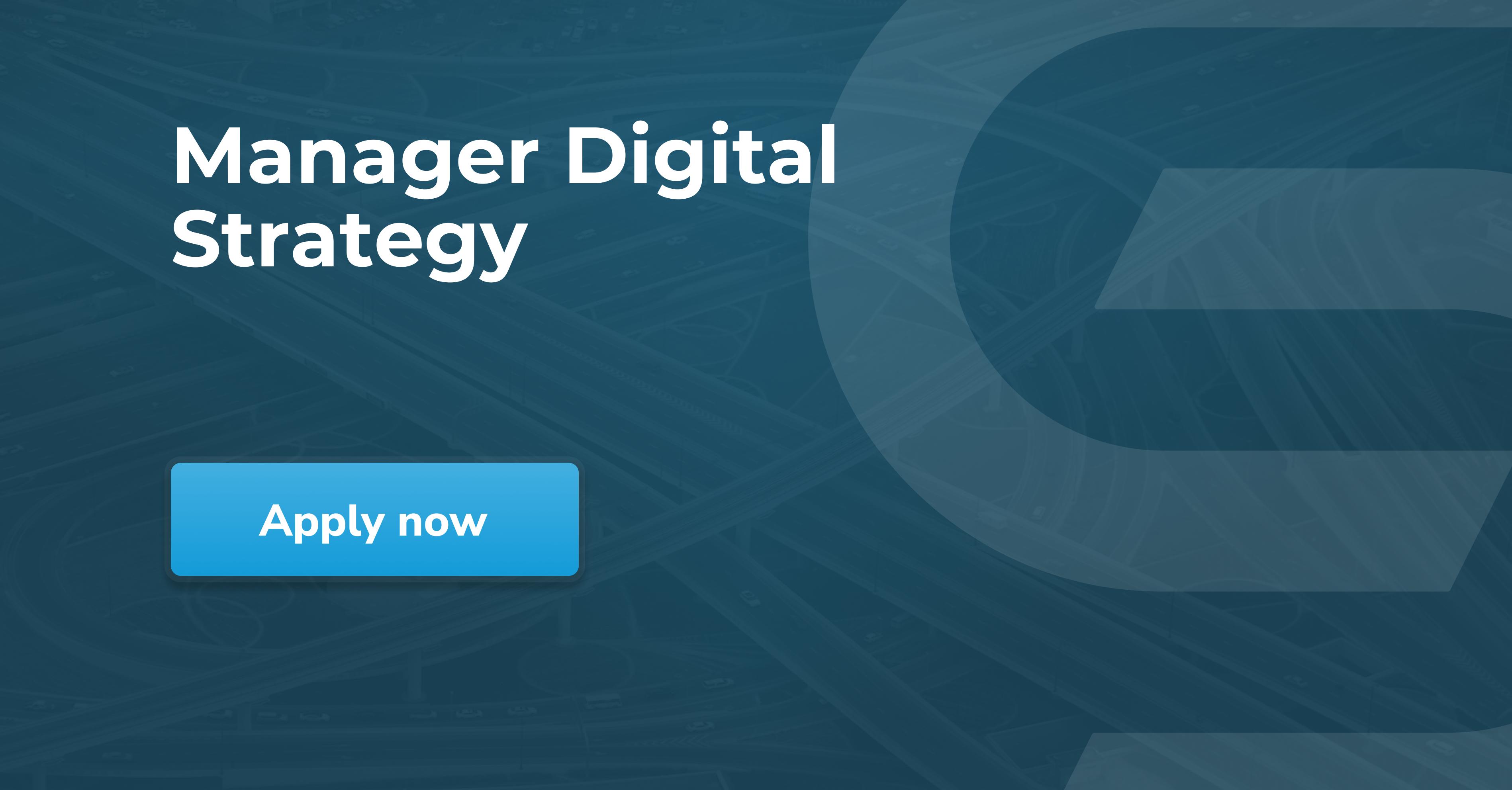 Manager Digital Strategy Scancruit