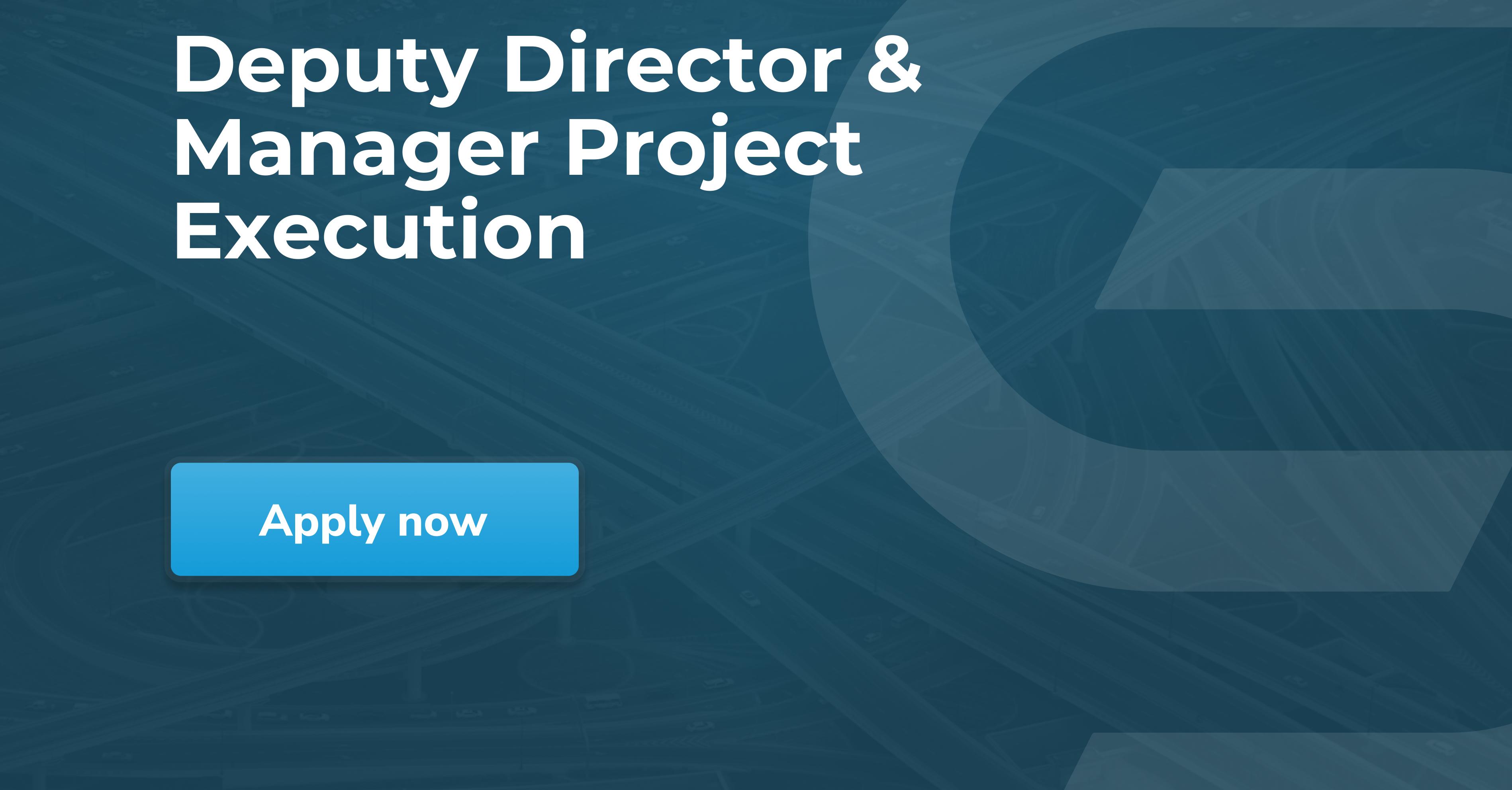 Deputy Director & Manager Project Execution - Scancruit